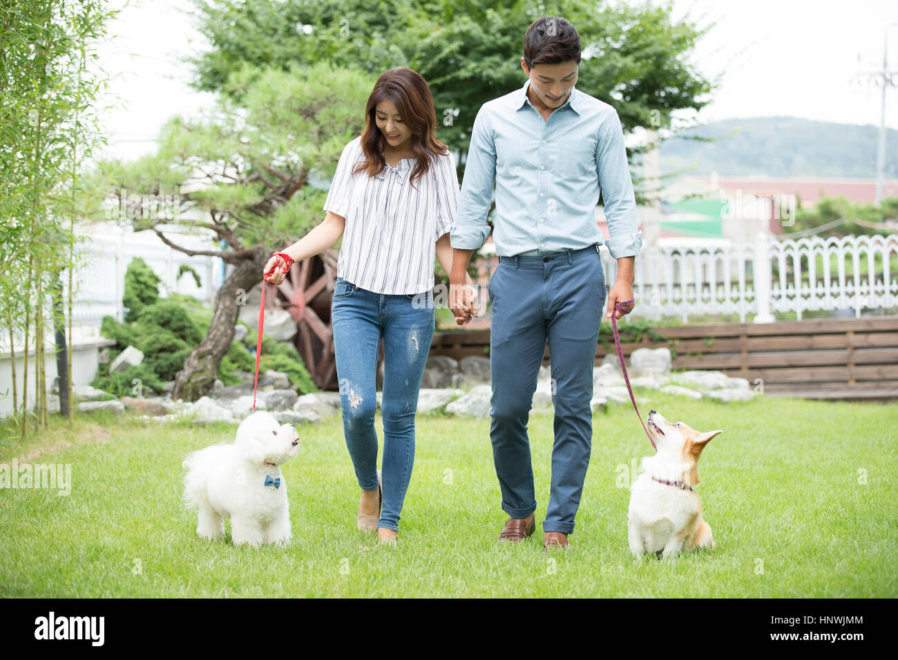 Young couple walking pet dogs Stock Photo - Alamy