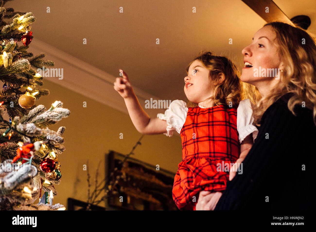 Pointing at tree mother child hi-res stock photography and images - Alamy