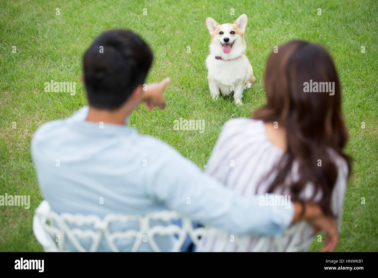 Young couple watching pet Stock Photo - Alamy