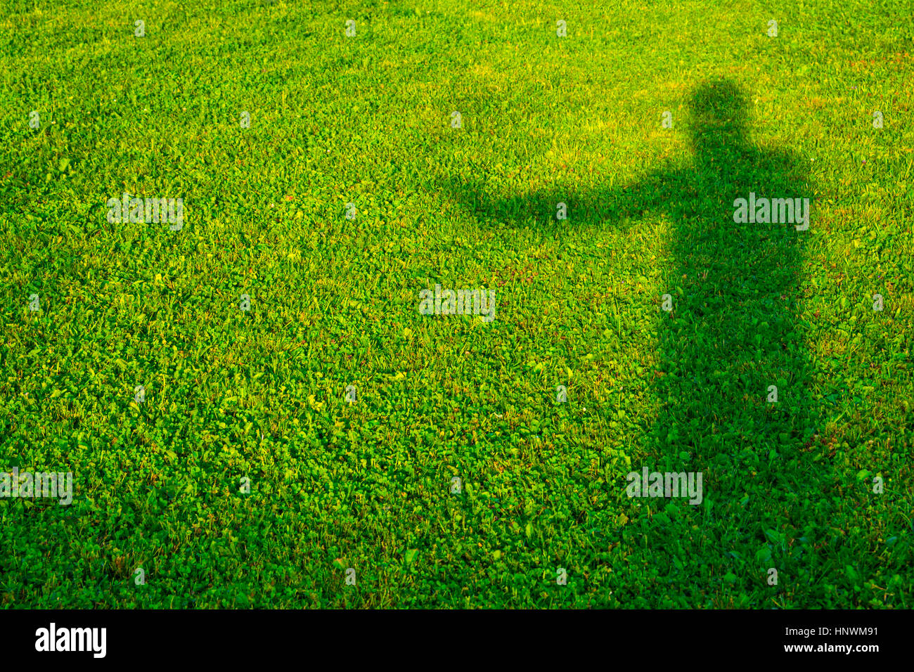 Karate shadow hi-res stock photography and images - Alamy