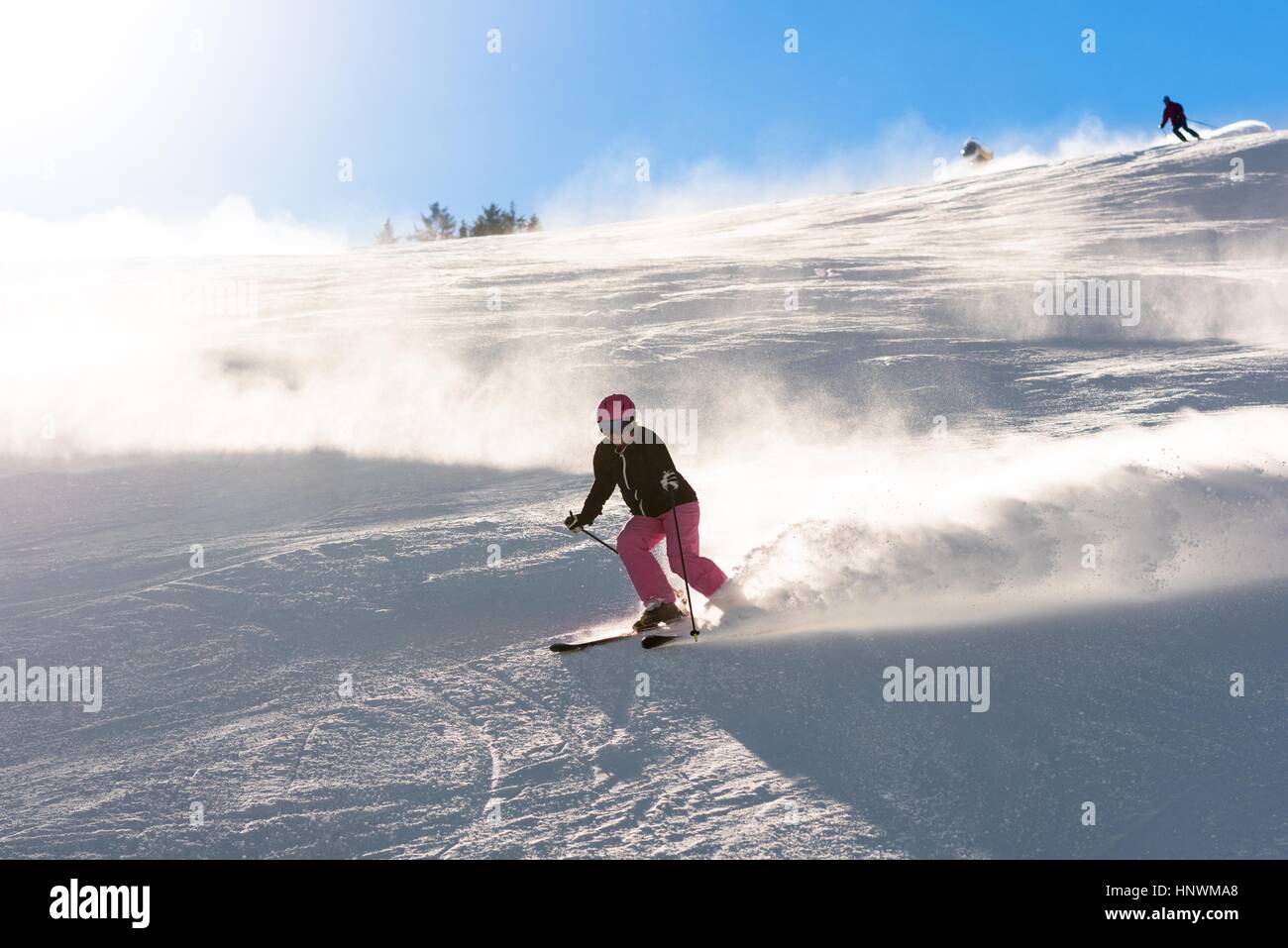 Female skier in fresh powder snow and sunlight Stock Photo - Alamy