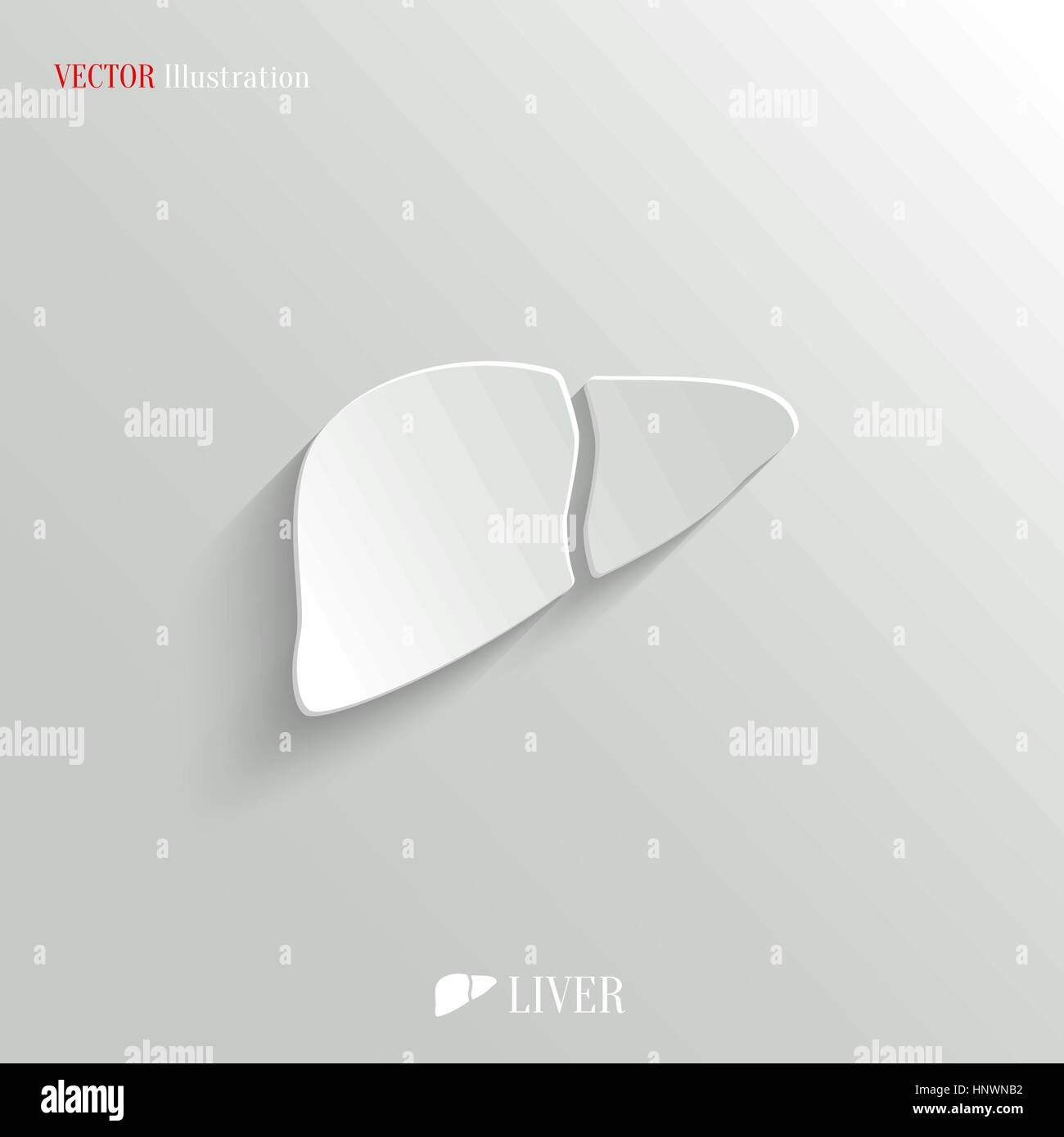 Liver icon - vector web illustration, easy paste to any background ...