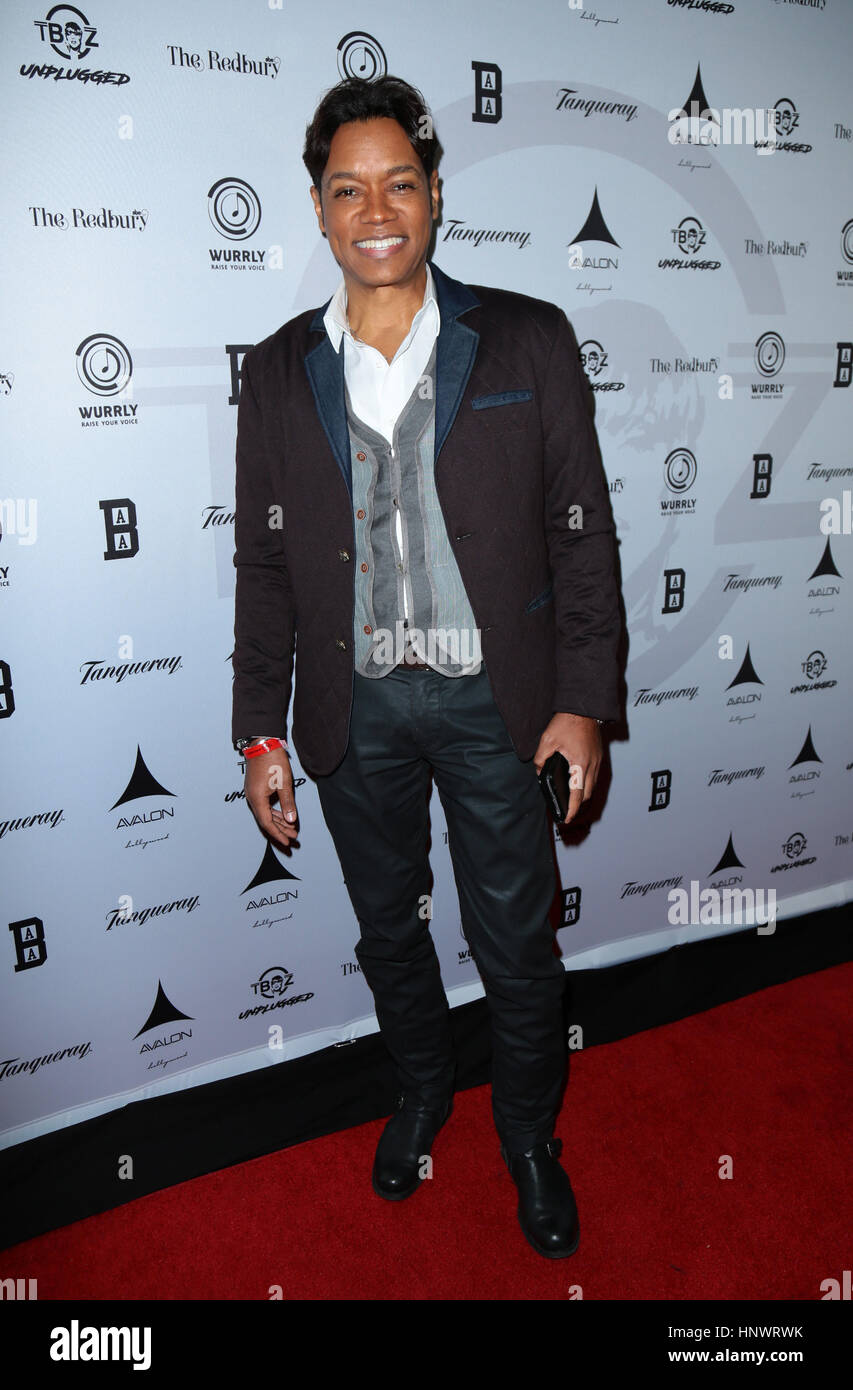 T-Boz Unplugged - A Benefit Concert Sickle Cell Disease at Avalon ...