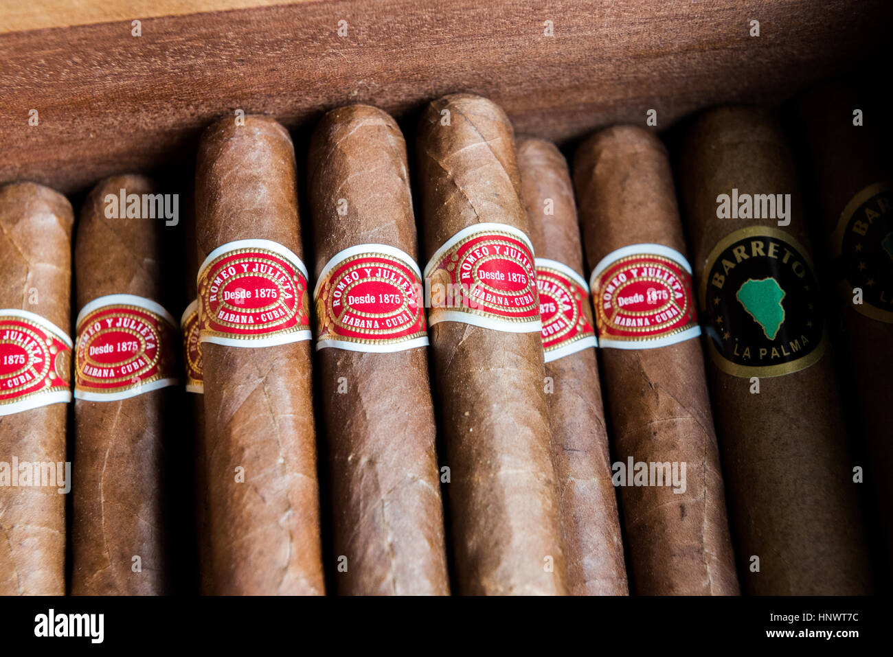 After dinner cigar hi-res stock photography and images - Alamy