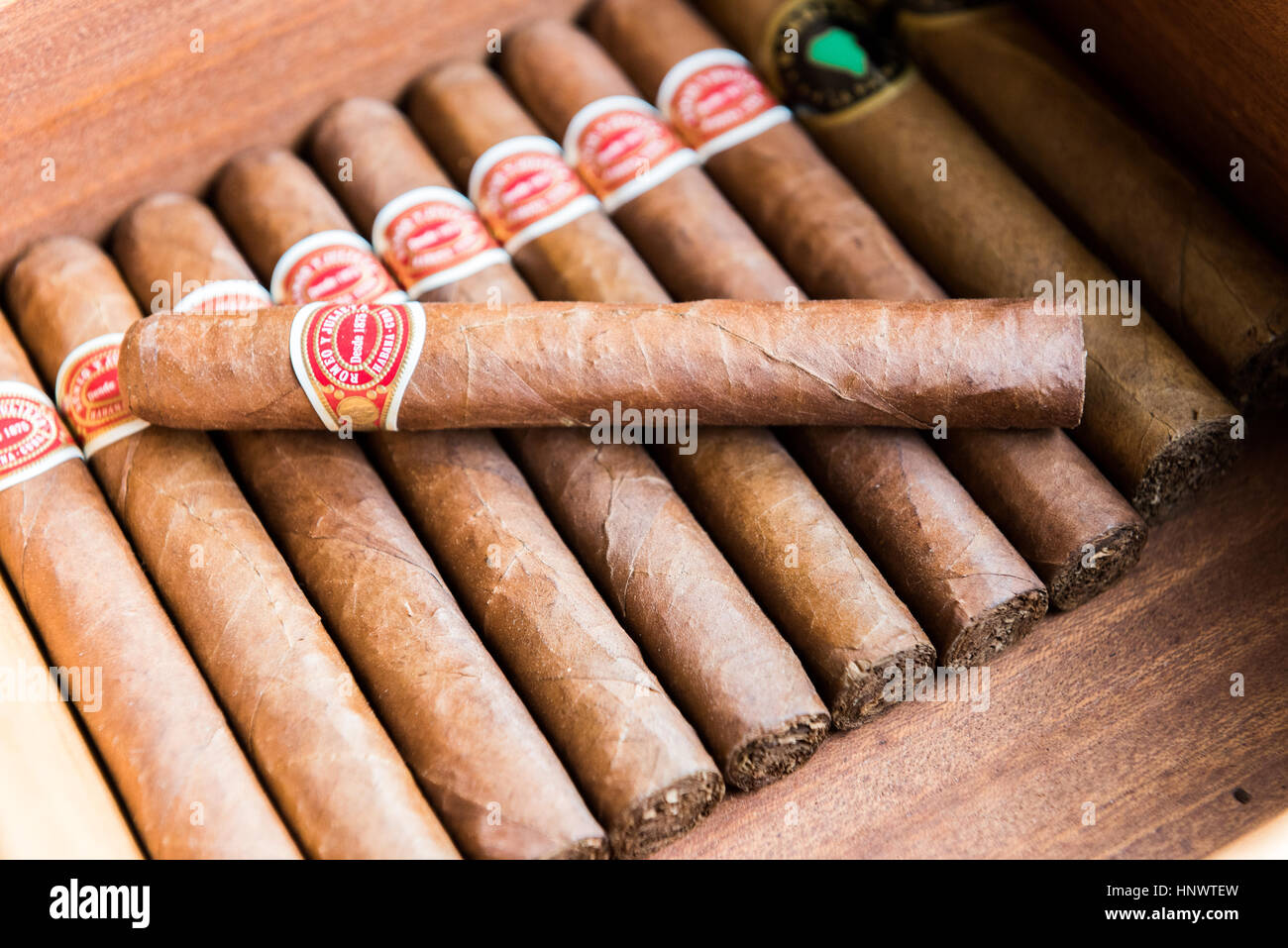 Cigars Stock Photo - Alamy