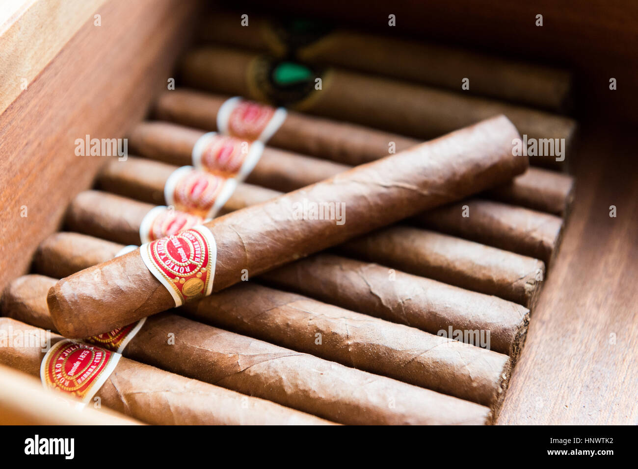 Gentleman and cigars hi-res stock photography and images - Alamy