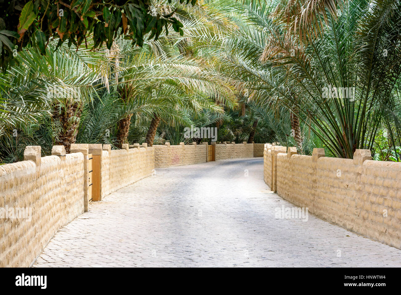 Deserted pathway hi-res stock photography and images - Alamy