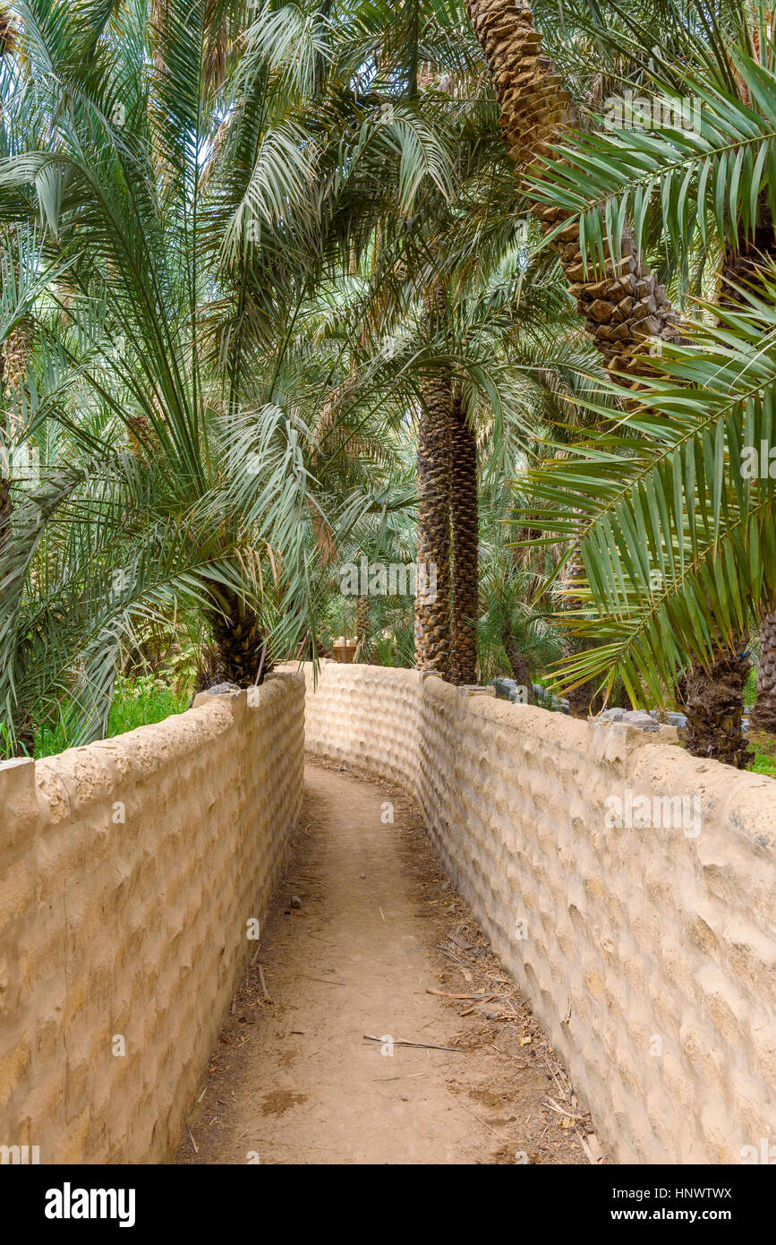 Deserted pathway hi-res stock photography and images - Alamy