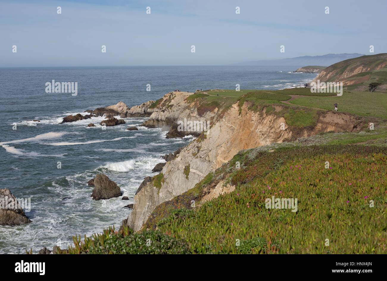 Bodega Head coast line and trails in northern California, USA Stock ...