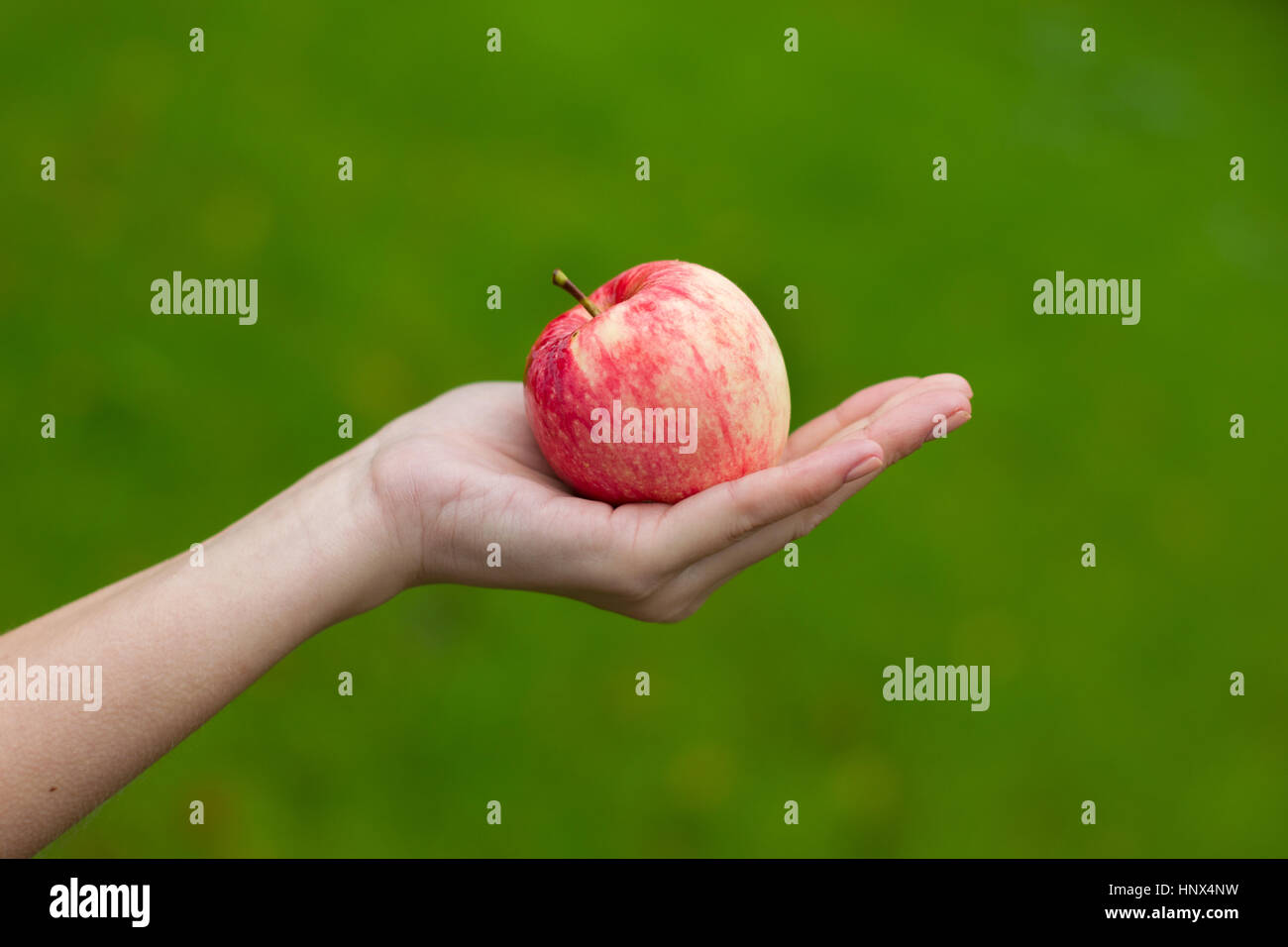 Hand green apple hi-res stock photography and images - Alamy