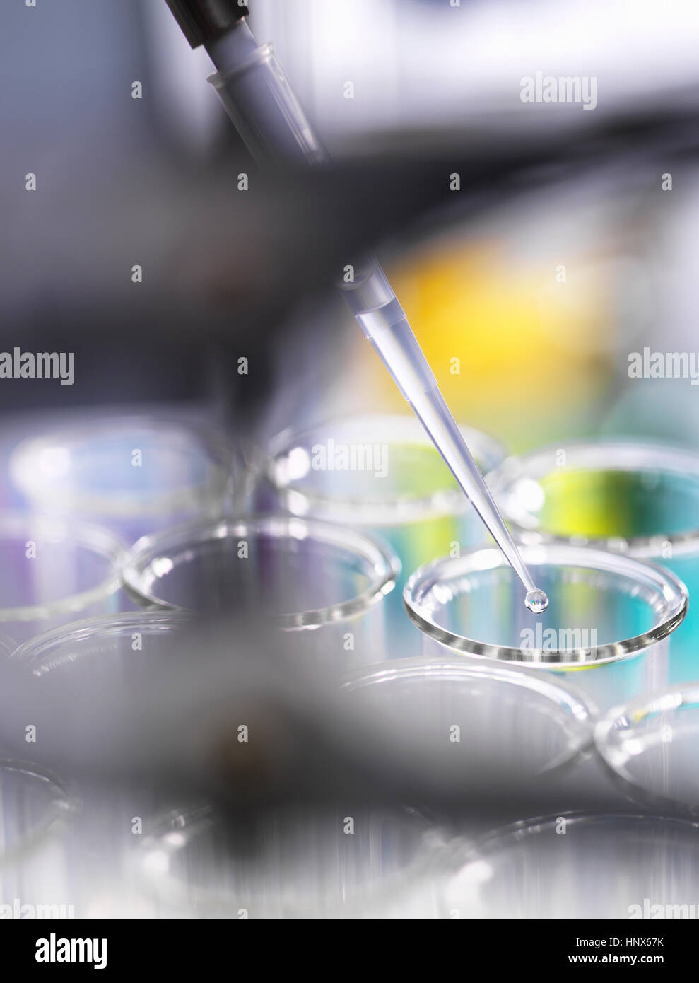 Sample being pipetted into a rack of test tubes inside a fume cupboard ...