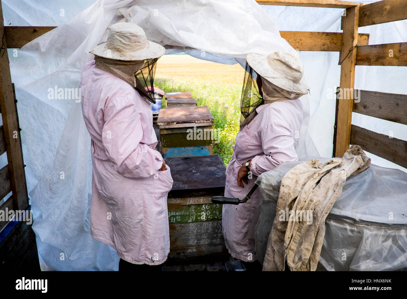 Two female beekeepers looking out from shelter Stock Photo - Alamy