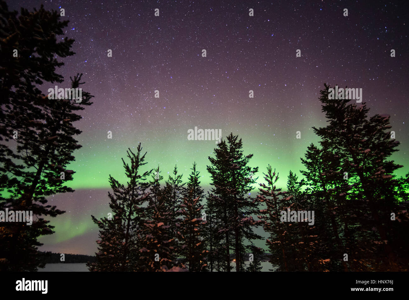 Northern lights over forest in hi-res stock photography and images - Alamy