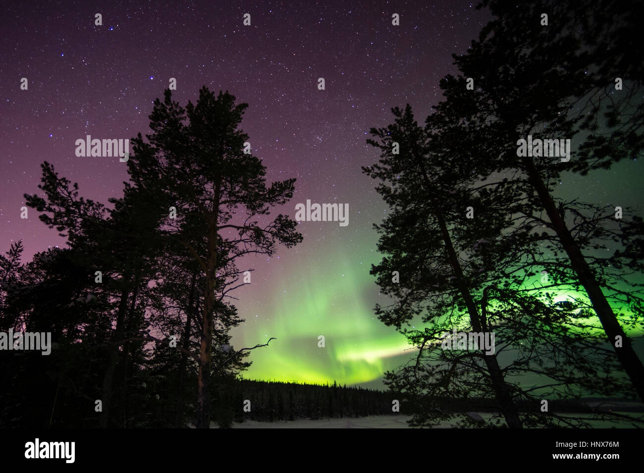 Northern lights over forest in hi-res stock photography and images - Alamy