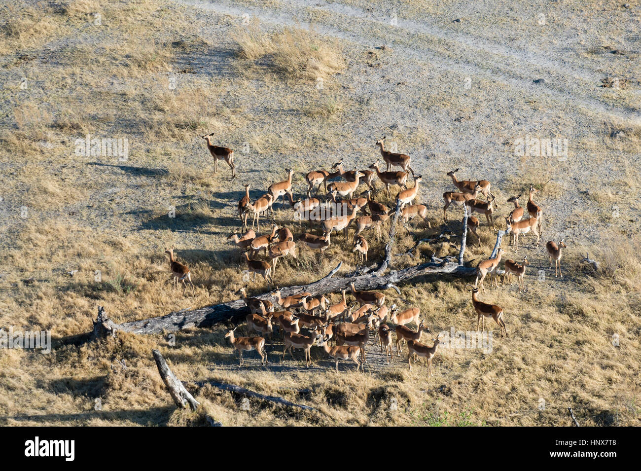 Full gathering hi-res stock photography and images - Alamy
