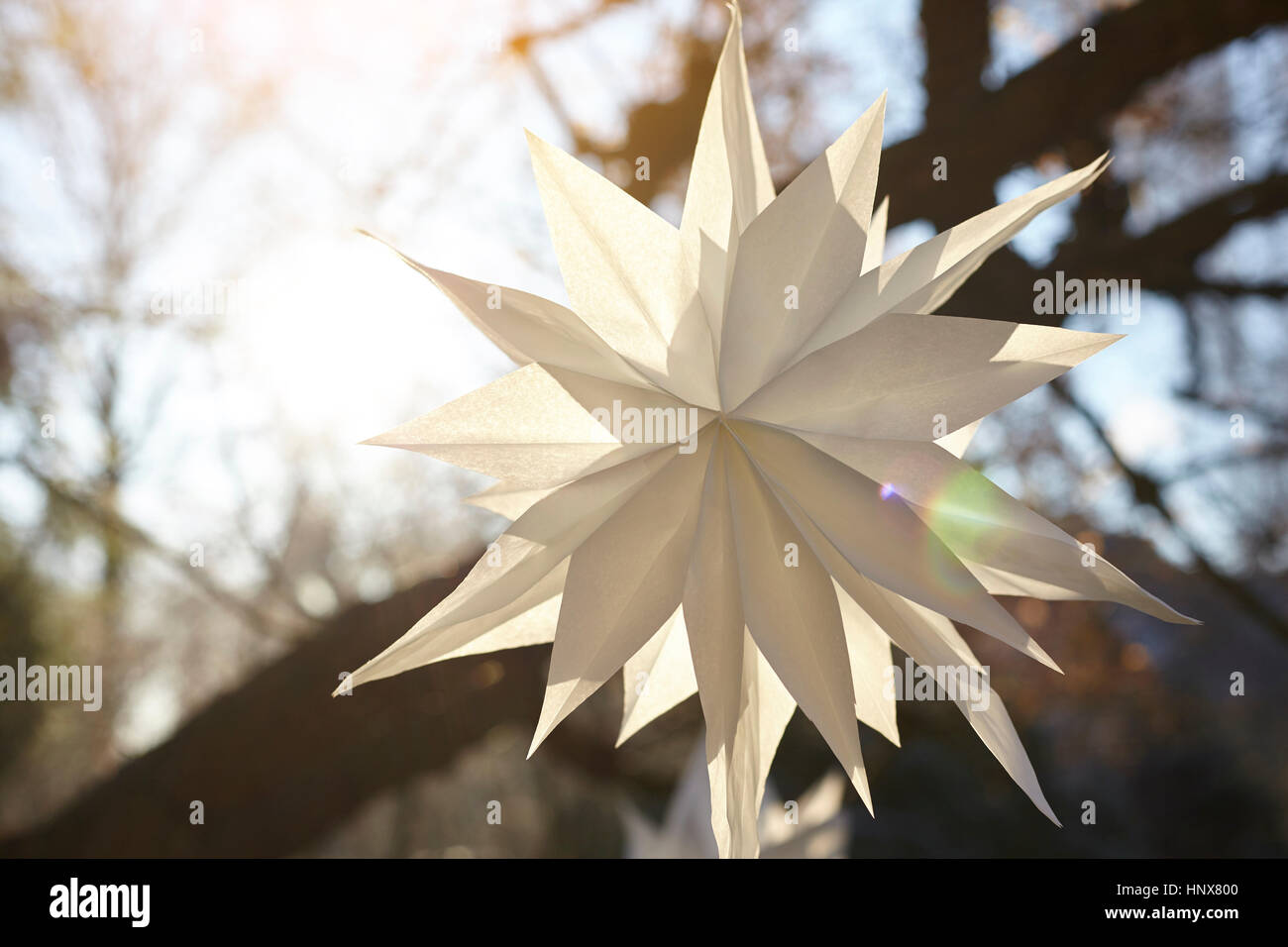 White handmade paper star hanging from sunlit tree branch Stock Photo ...