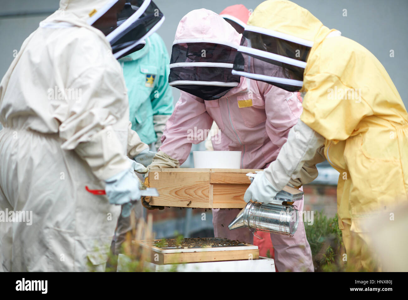 Group of beekeepers inspecting hive Stock Photo - Alamy