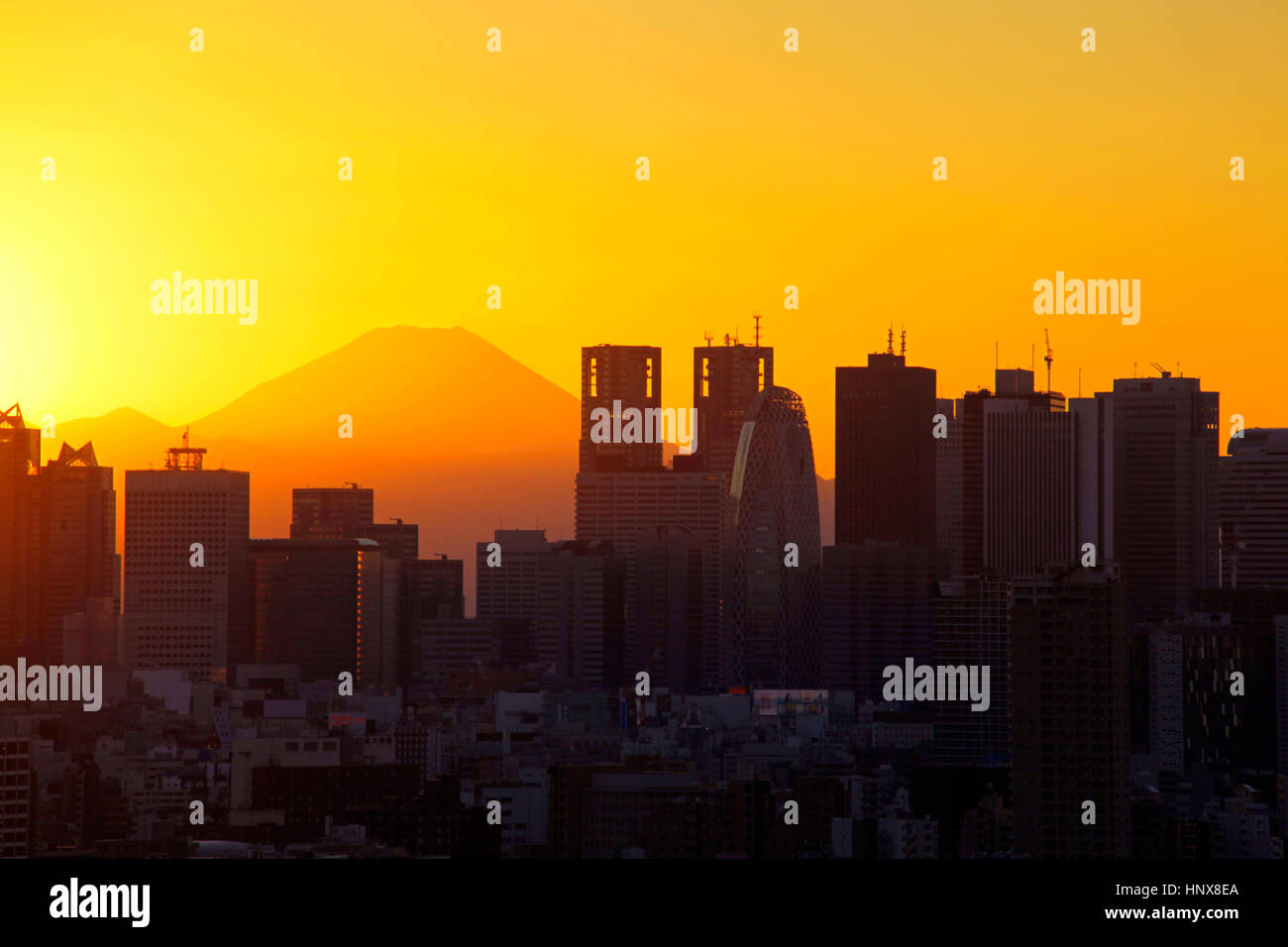 Evening View of Shinjuku Skyscrapers and Mount Fuji Tokyo Japan Stock ...