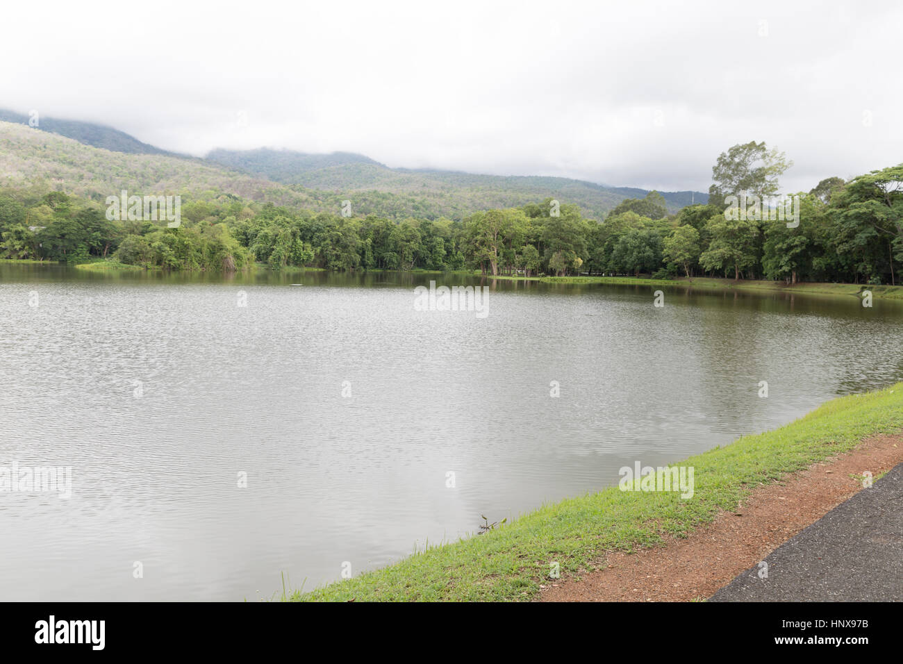 road beside pond in park in rainy day Stock Photo - Alamy