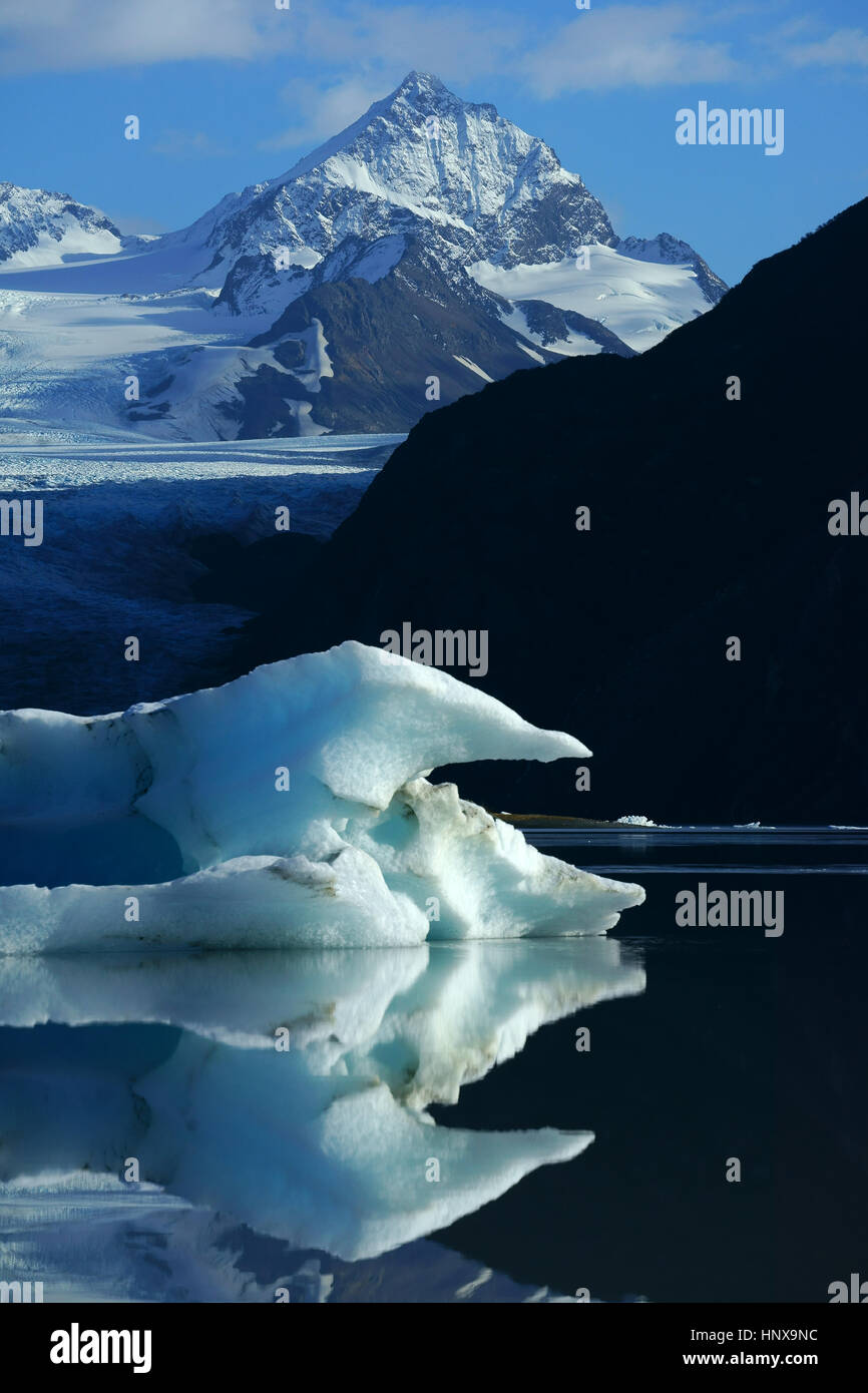 Iceberg floating in lake, Alaska Stock Photo - Alamy