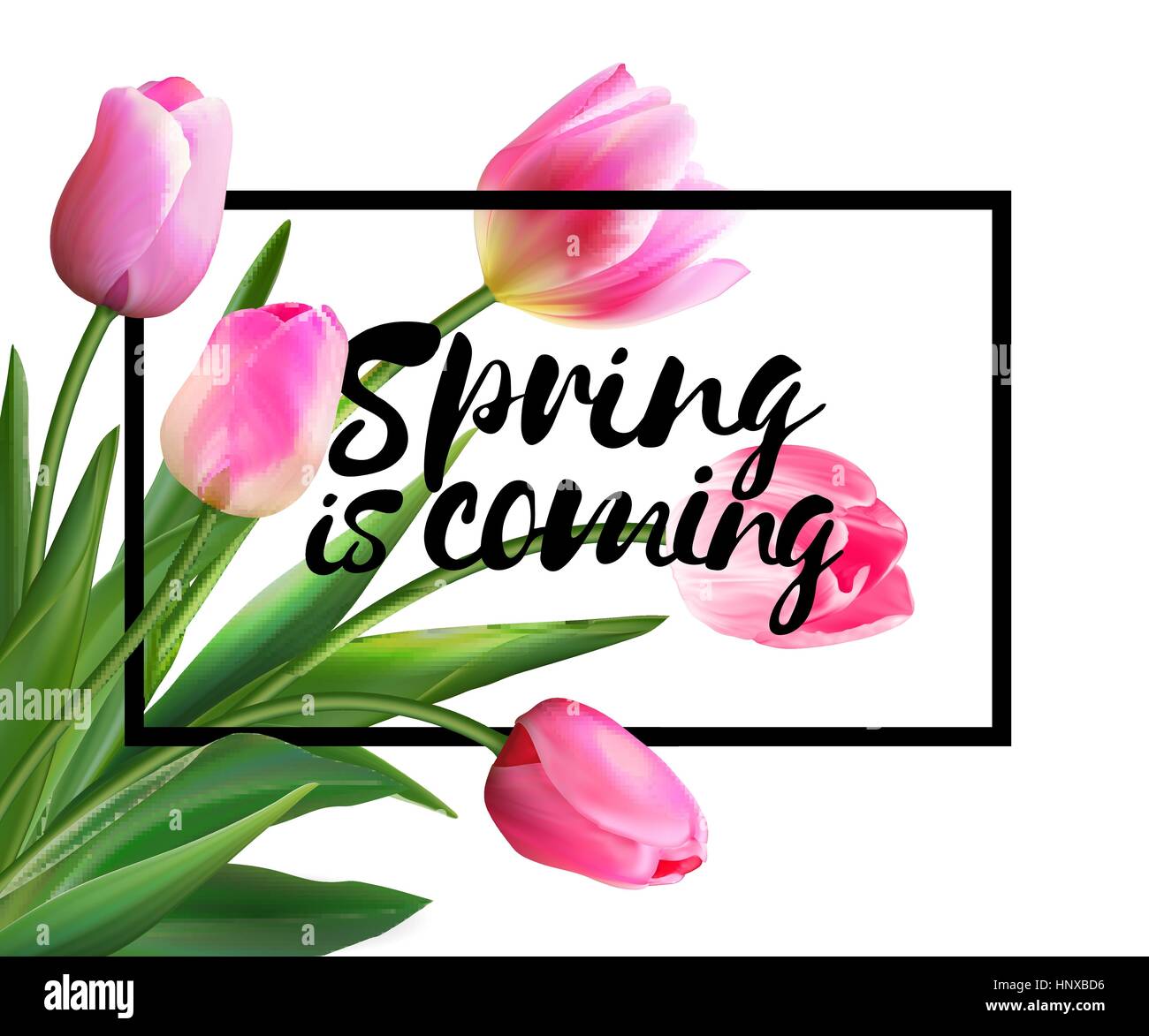 Spring is coming tulips flowers background with lettering. Vector EPS ...