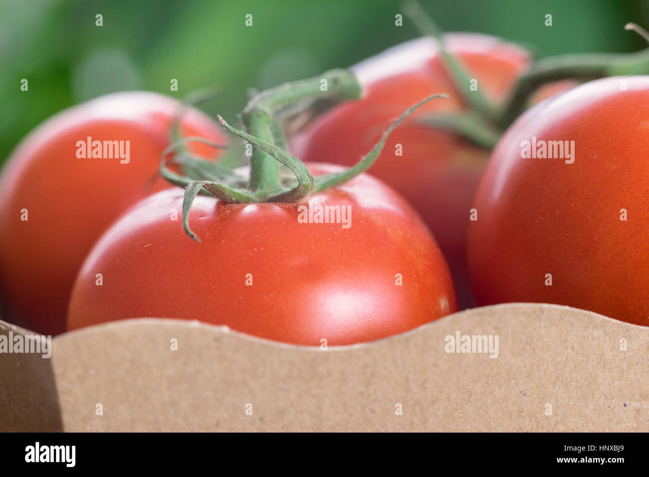 Close-up fresh tomato Stock Photo - Alamy