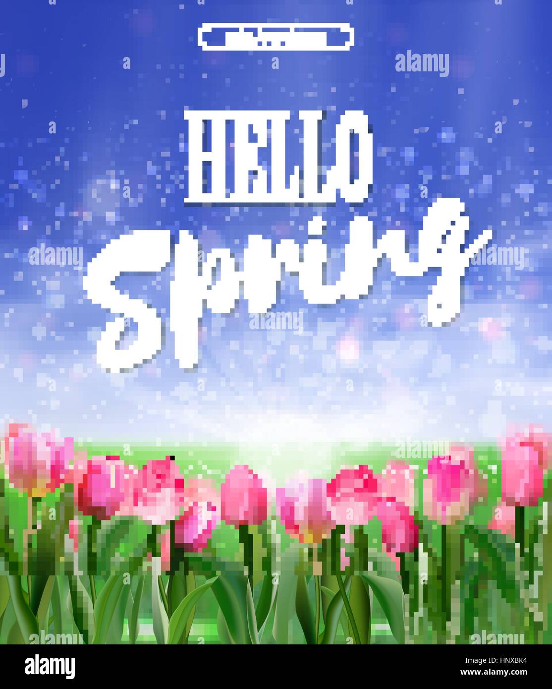 Spring is coming lettering on glade of pink tulips background. Spring ...