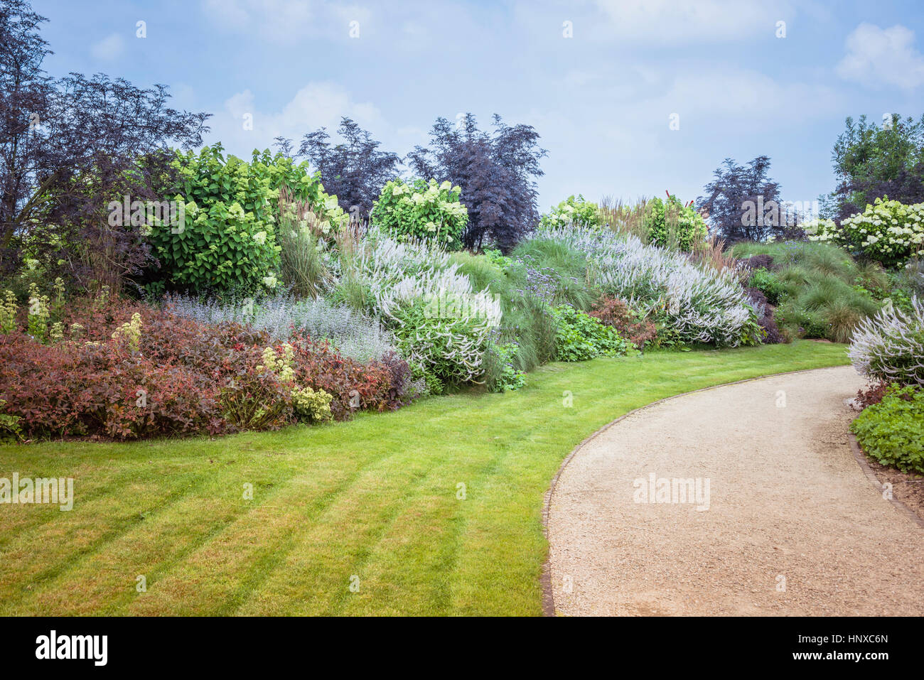 big english landscape garden with plants trees and flowers in summer ...