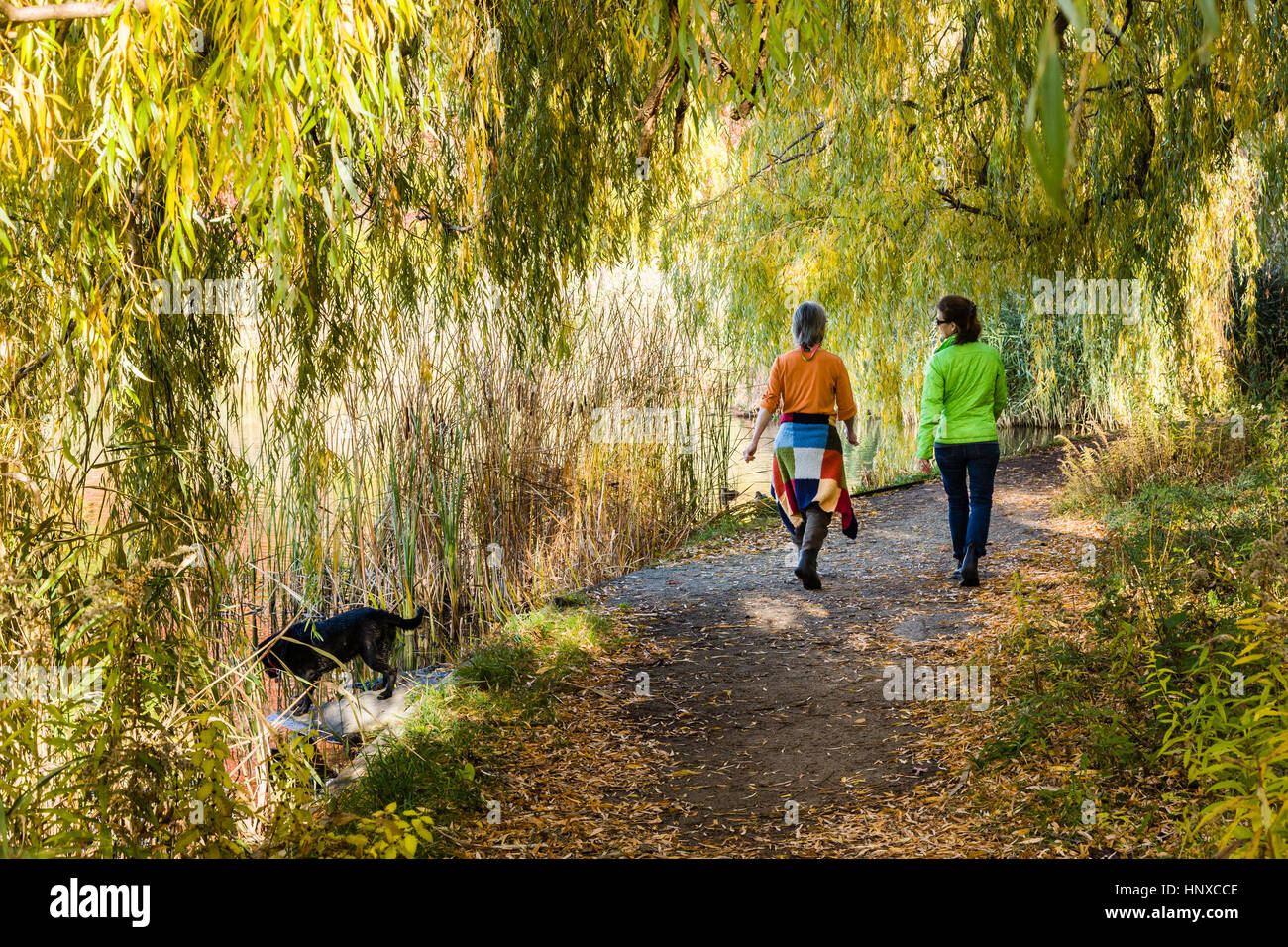 Beautiful toronto women hi-res stock photography and images - Alamy