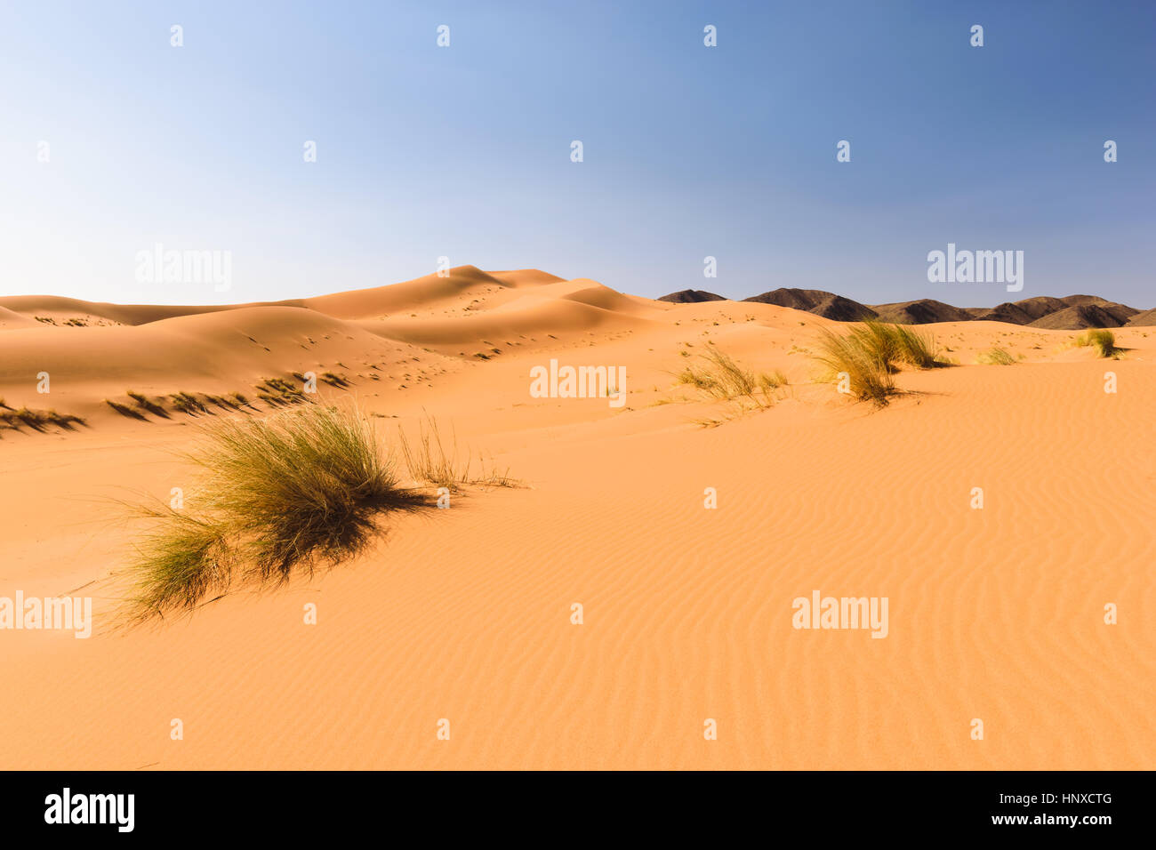 Dune range hi-res stock photography and images - Alamy