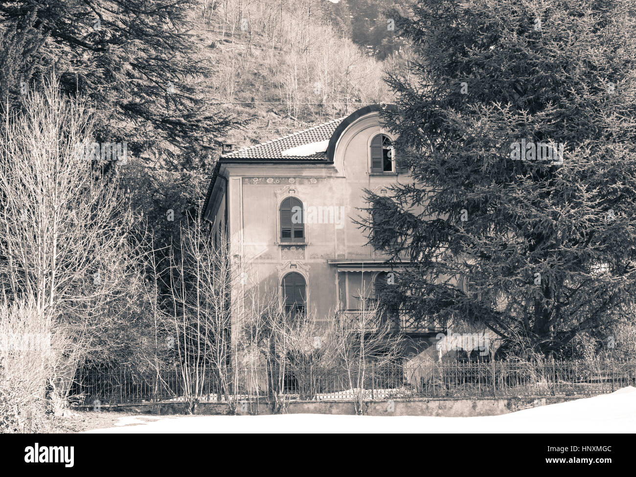 isolated house in the woods seems abandoned, like in a horror movie ...