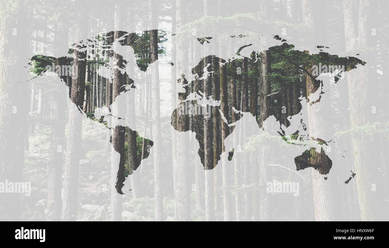 inspirational world map superimposed on woodland Stock Photo - Alamy