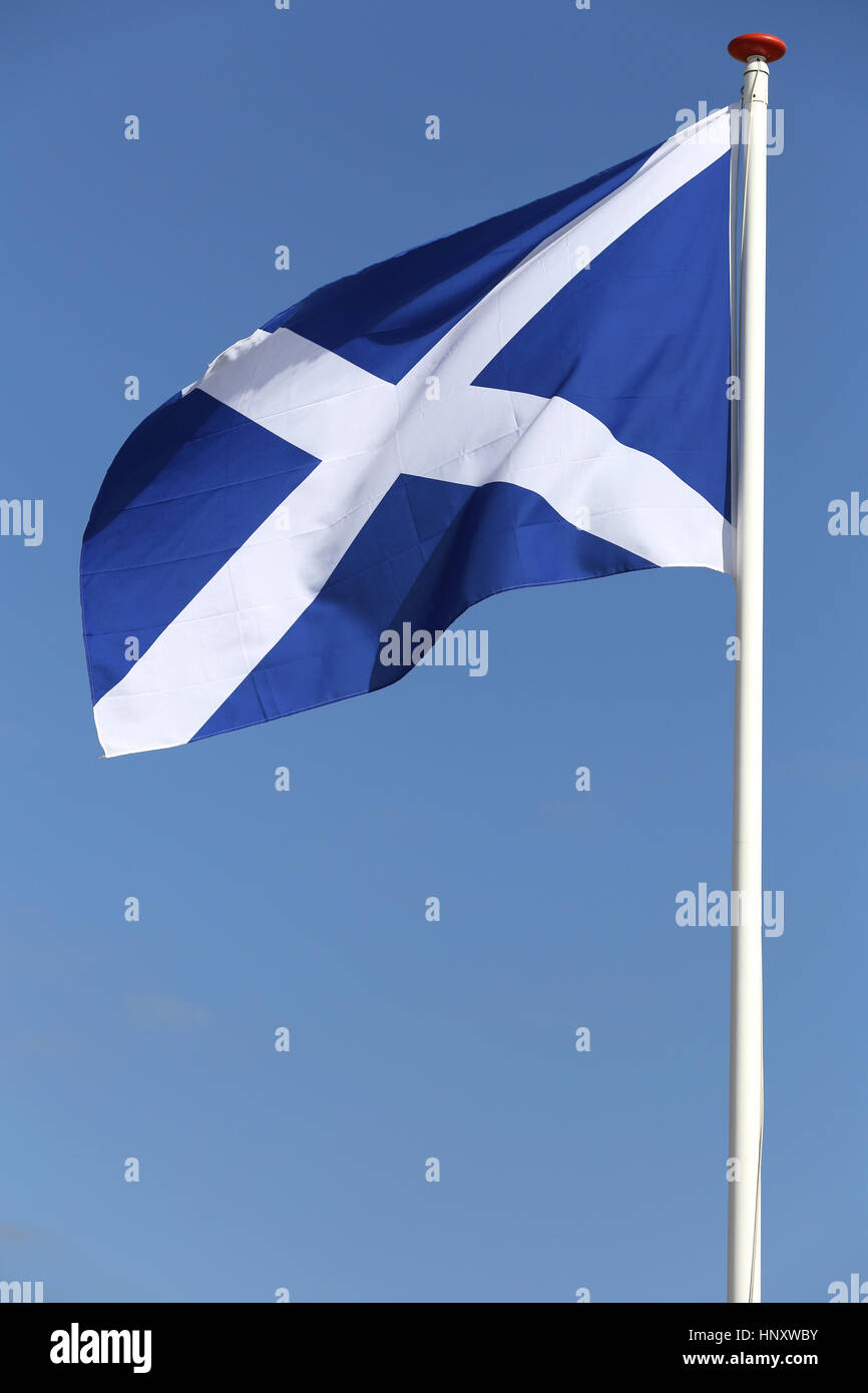 Scottish flag flying in the wind Stock Photo - Alamy