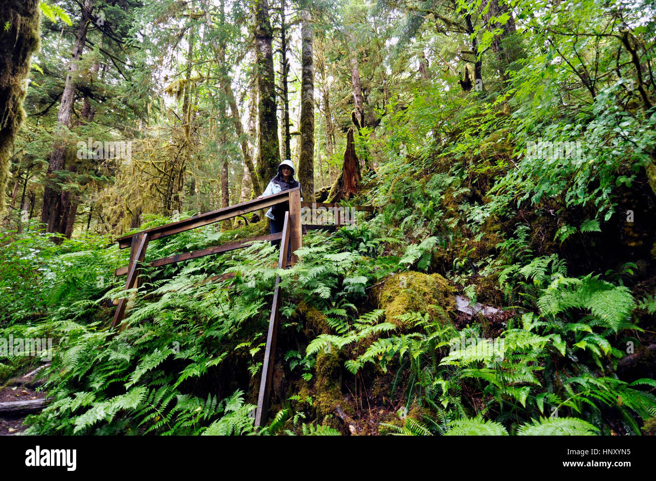 Tongass National Forest High Resolution Stock Photography and Images ...