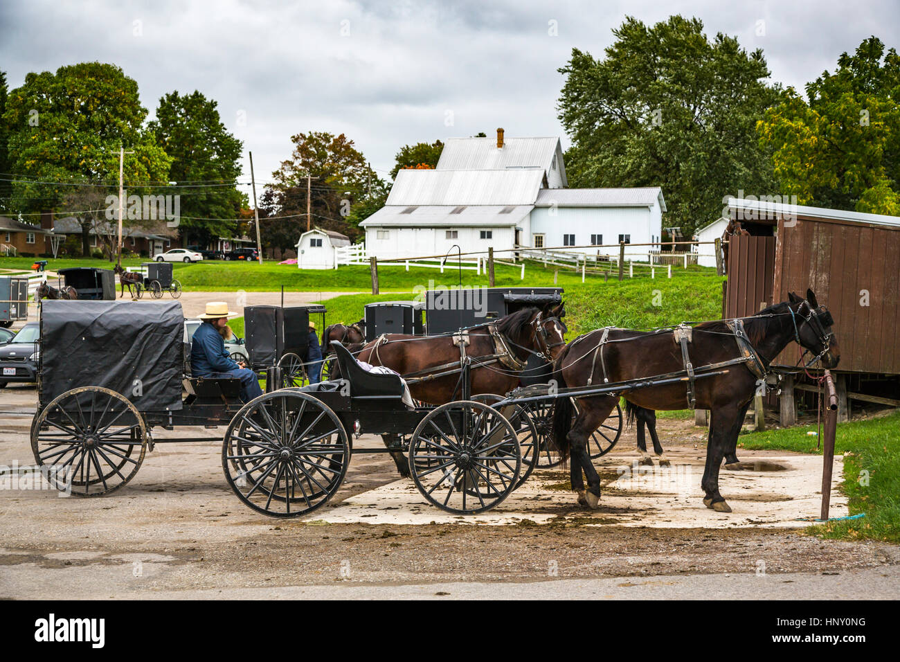 Amish horse and buggies at a hitching post in Dalton, Ohio, USA Stock ...