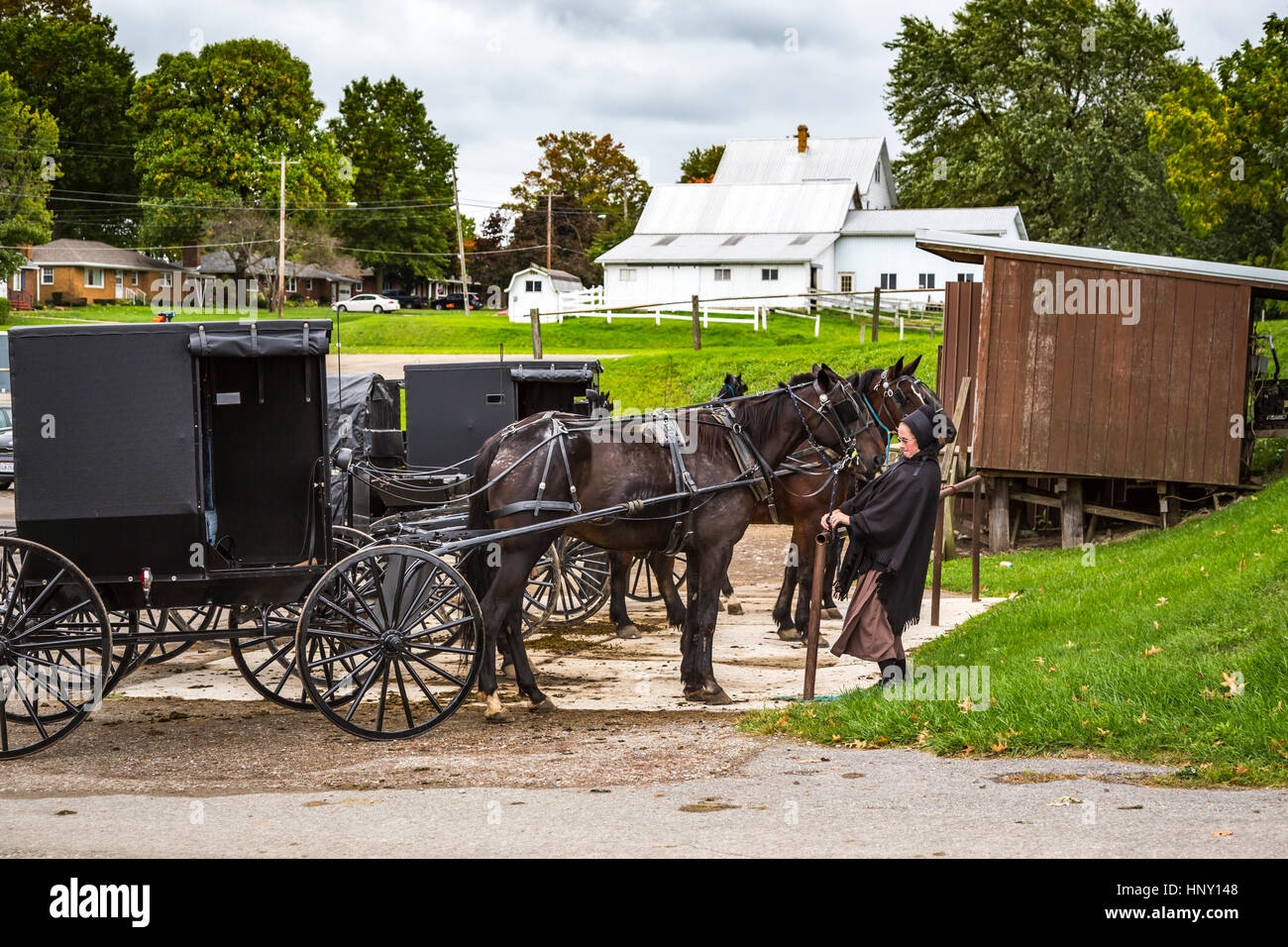 Amish horse and buggies at a hitching post in Dalton, Ohio, USA Stock ...