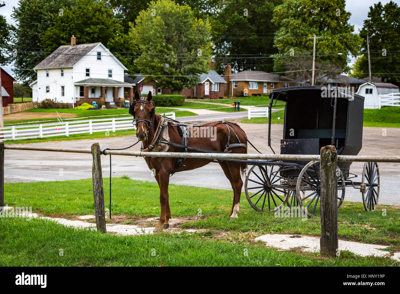 Amish horse and buggies at a hitching post in Dalton, Ohio, USA Stock ...