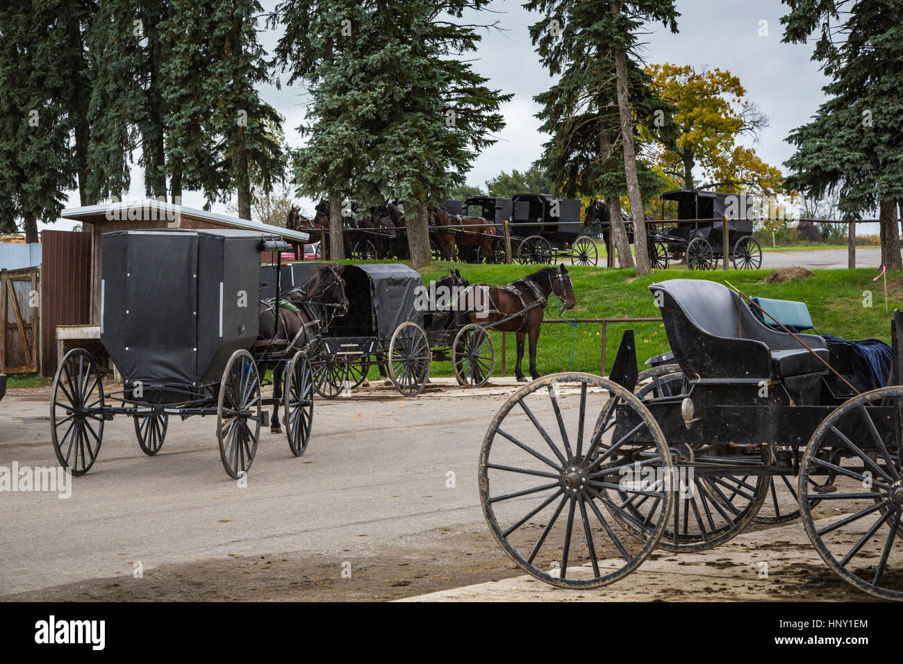 Amish horse and buggies at a hitching post in Dalton, Ohio, USA Stock ...