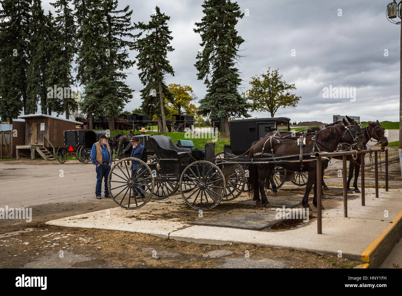 Amish horse and buggies at a hitching post in Dalton, Ohio, USA Stock ...