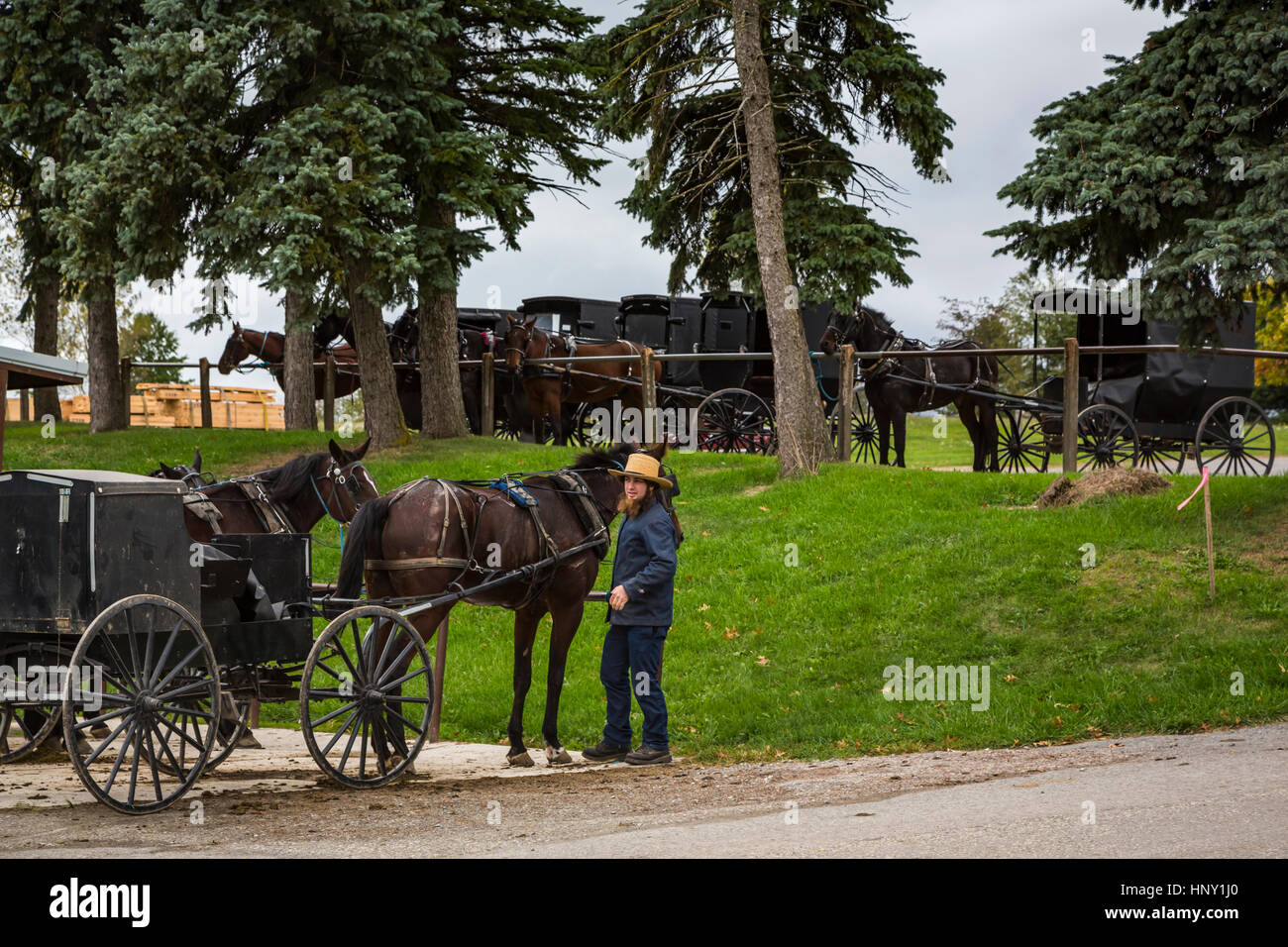 Amish horse and buggies at a hitching post in Dalton, Ohio, USA Stock ...
