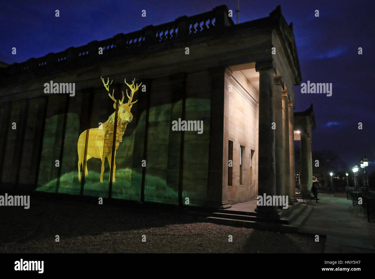 Stag scotland painting hi-res stock photography and images - Alamy