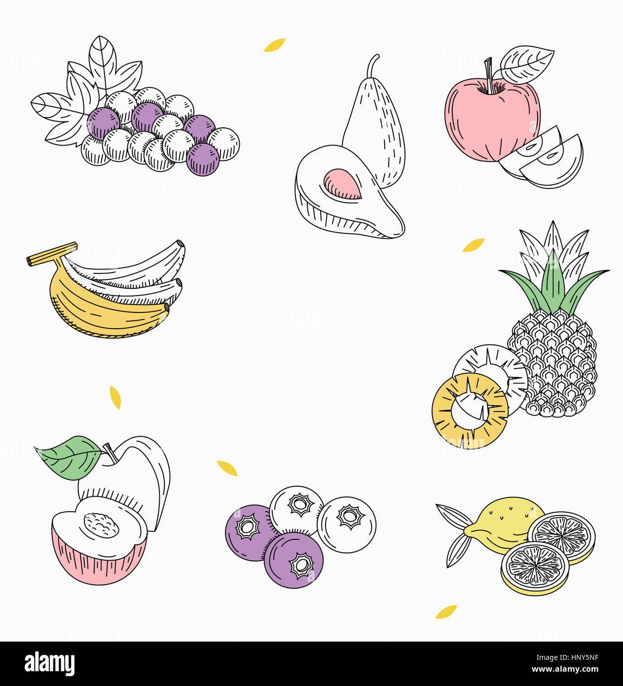 Drawing of various fruits Stock Photo - Alamy