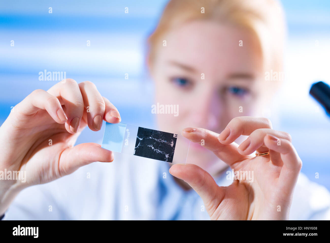 Woman science Assistant in laboratory with microscope slide of cancer ...