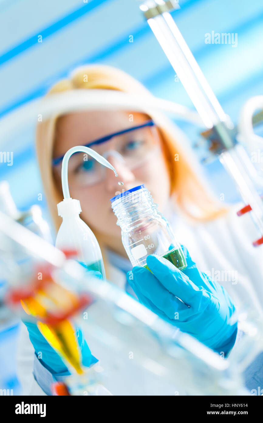 Young women use laboratory dispenser or pipette in microbiological or ...