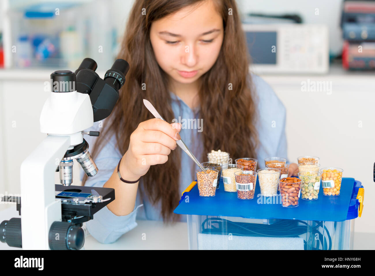 Classroom experiment plants hi-res stock photography and images - Alamy