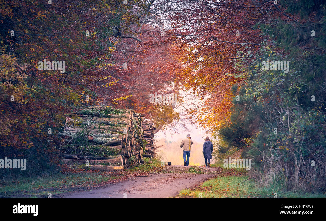 Woman walking away country road hi-res stock photography and images - Alamy