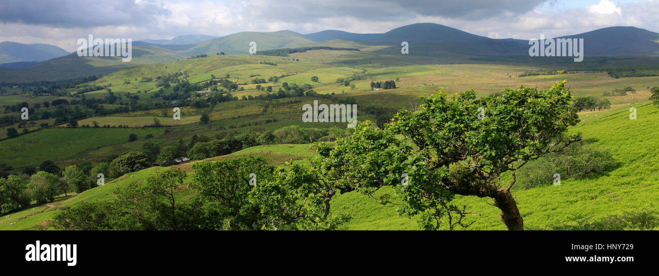 View over Matterdale, Lake District National Park, Cumbria, England, UK ...