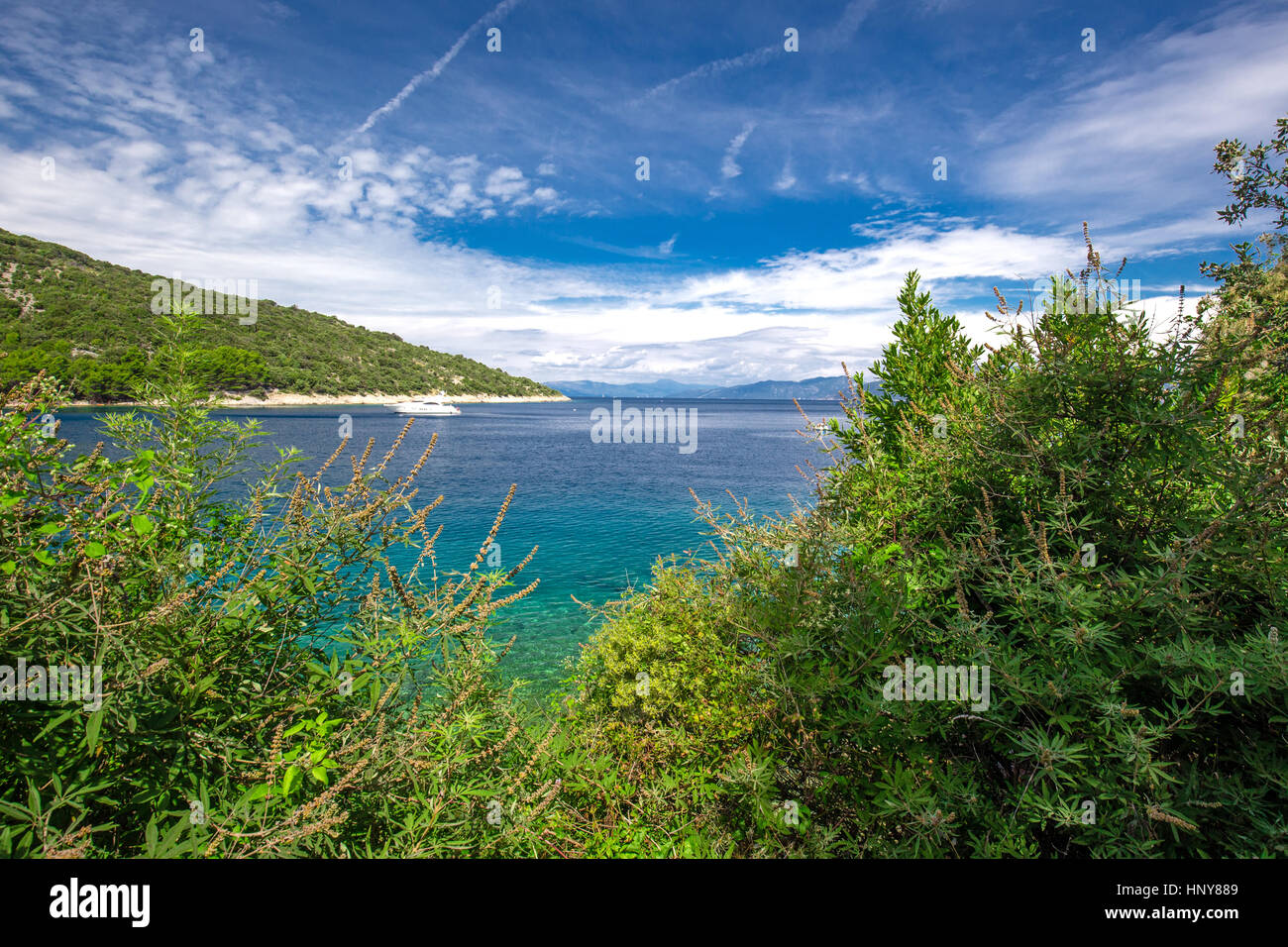 Beach scenery with pine tree in Croatia, Istria, Europe Stock Photo - Alamy