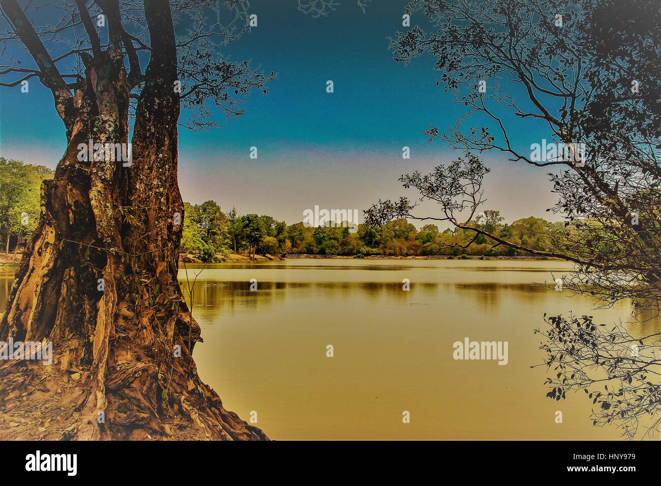 Beautiful lake scenic landscape Stock Photo - Alamy