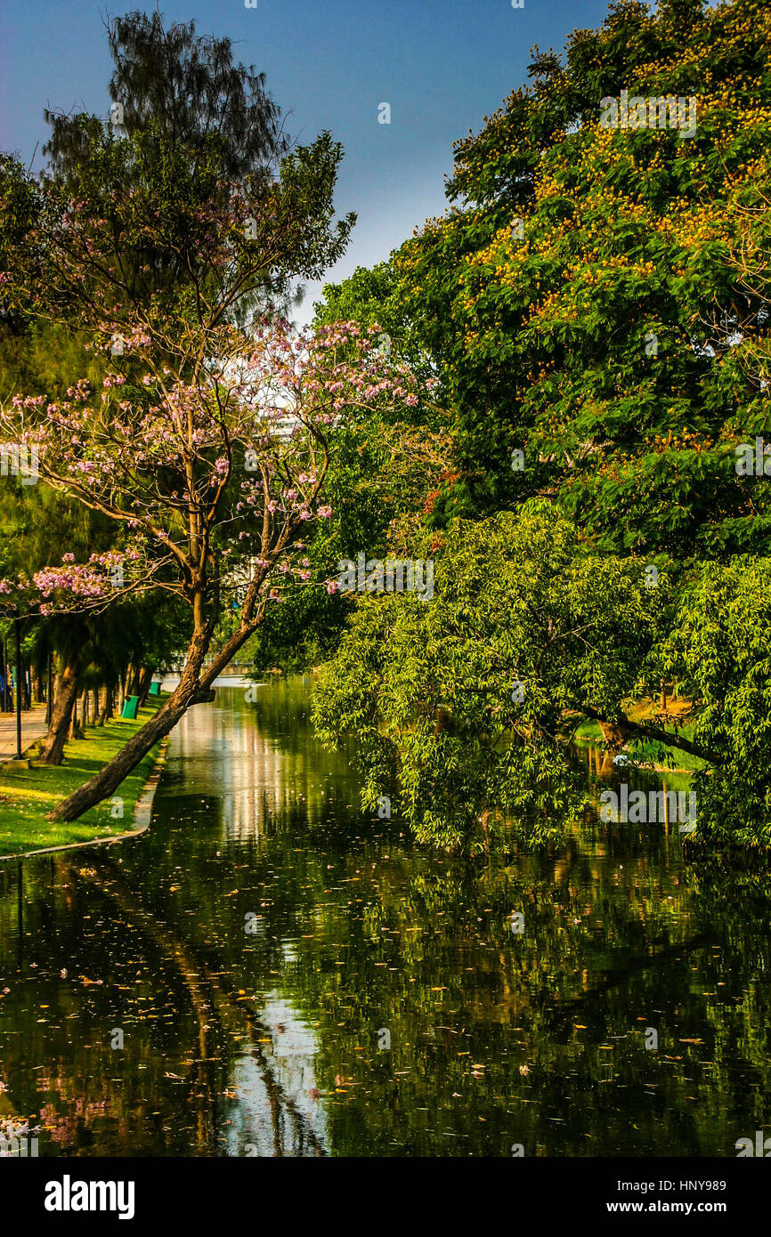 Beautiful lake scenic landscape Stock Photo - Alamy